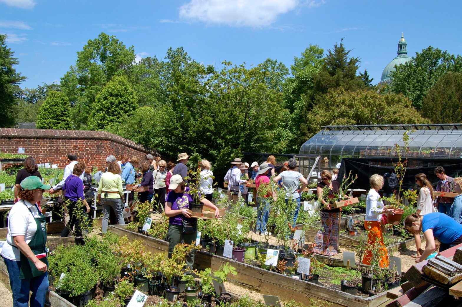 Paca Garden Plant Sale Returns | Historic Annapolis